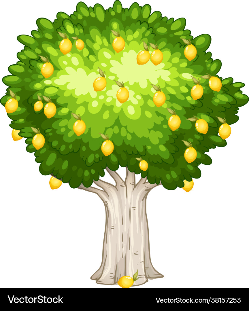 Lemon tree isolated on white background Royalty Free Vector