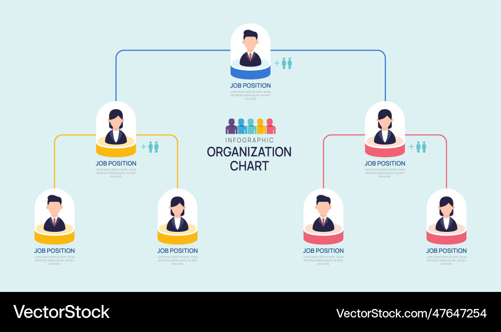 Infographic template for organization chart Vector Image