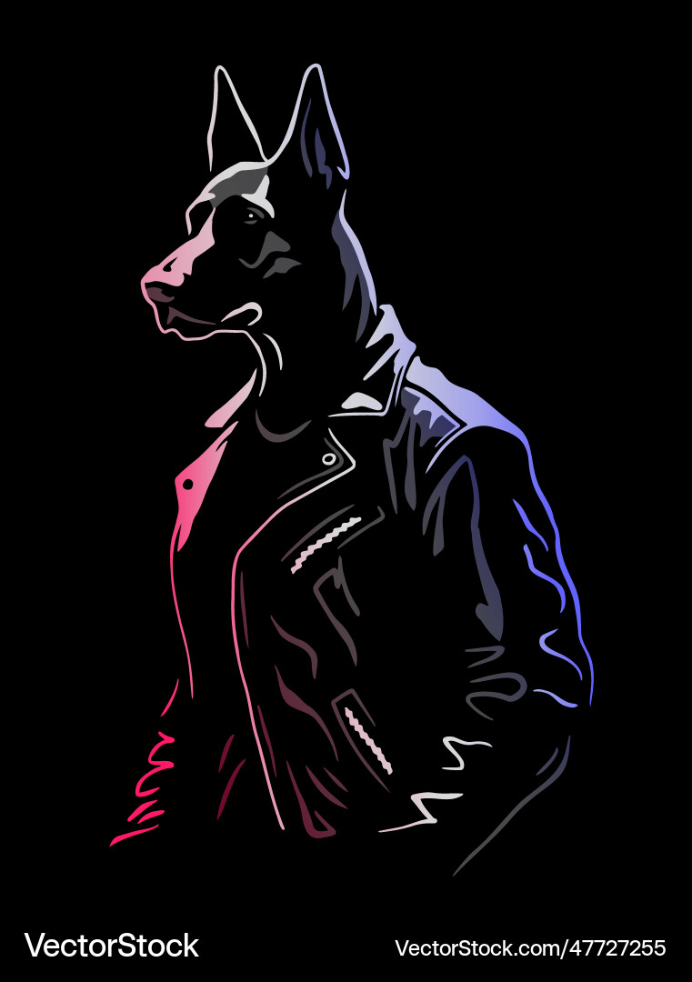 Doberman in a leather jacket on dark background Vector Image