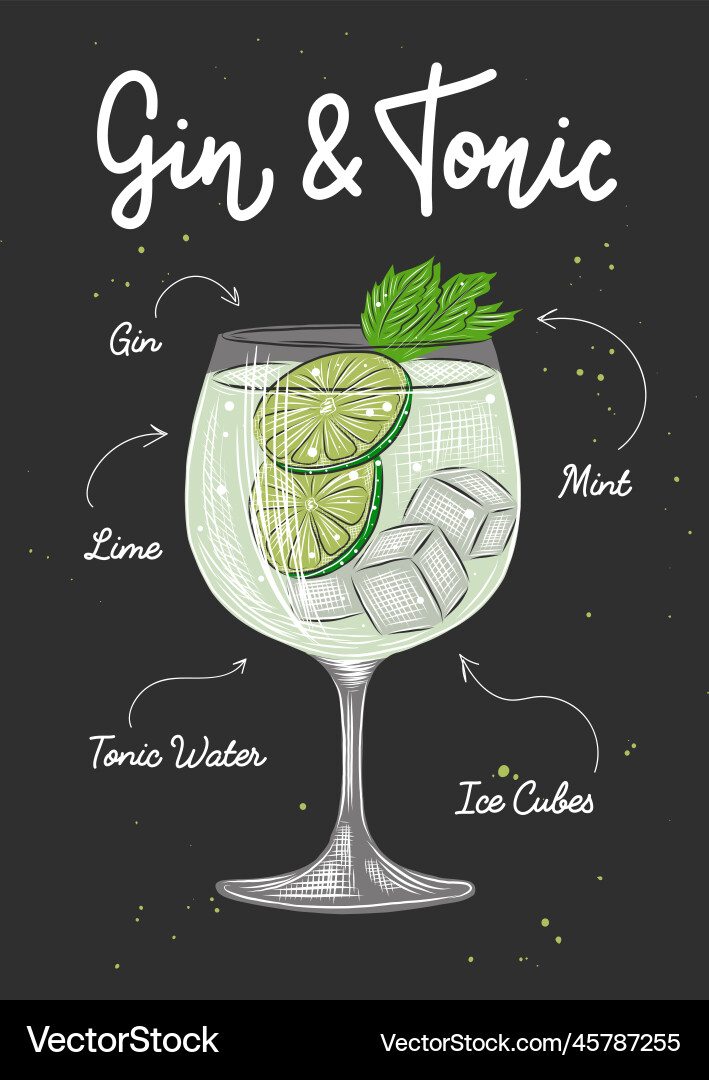 Engraved style gin and tonic cocktail for posters Vector Image
