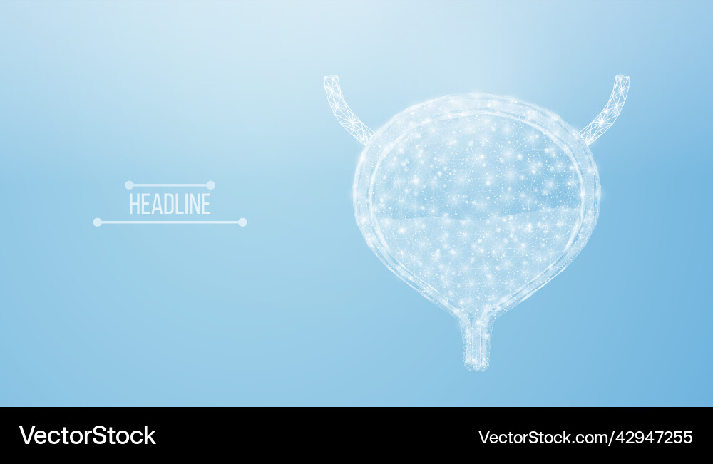Human bladder design element for medical concept Vector Image