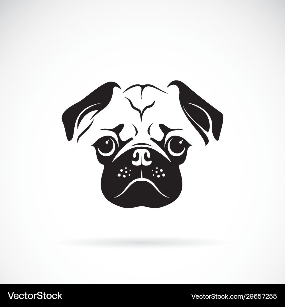 Bulldog Face Outline Vector Images (over 740)