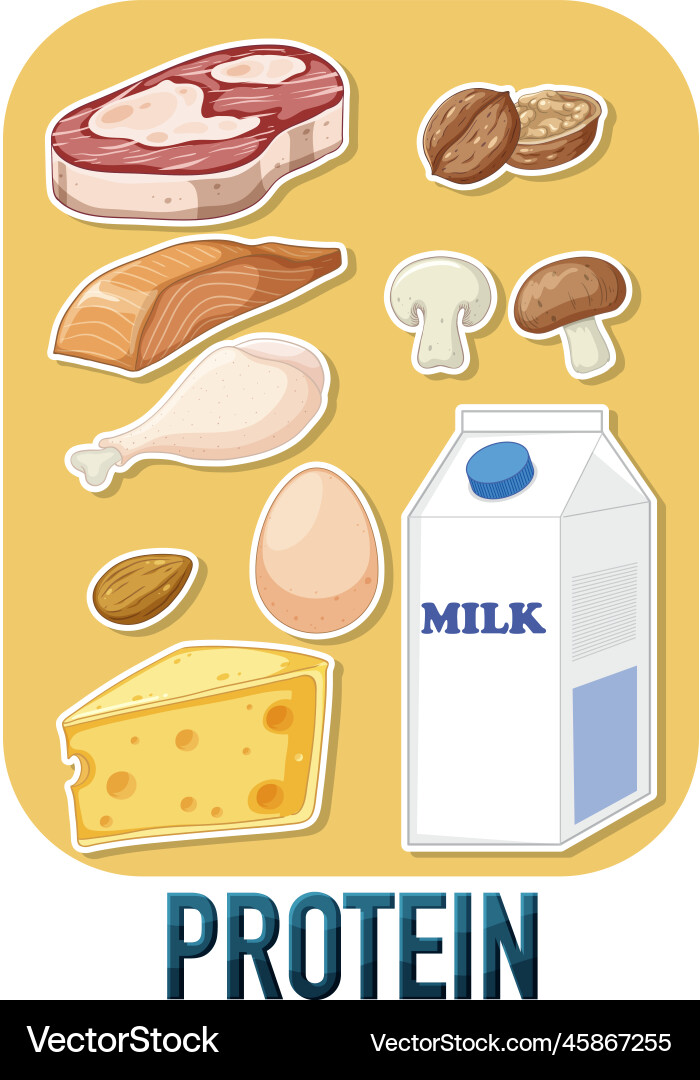 Varieties of protein food with text Royalty Free Vector