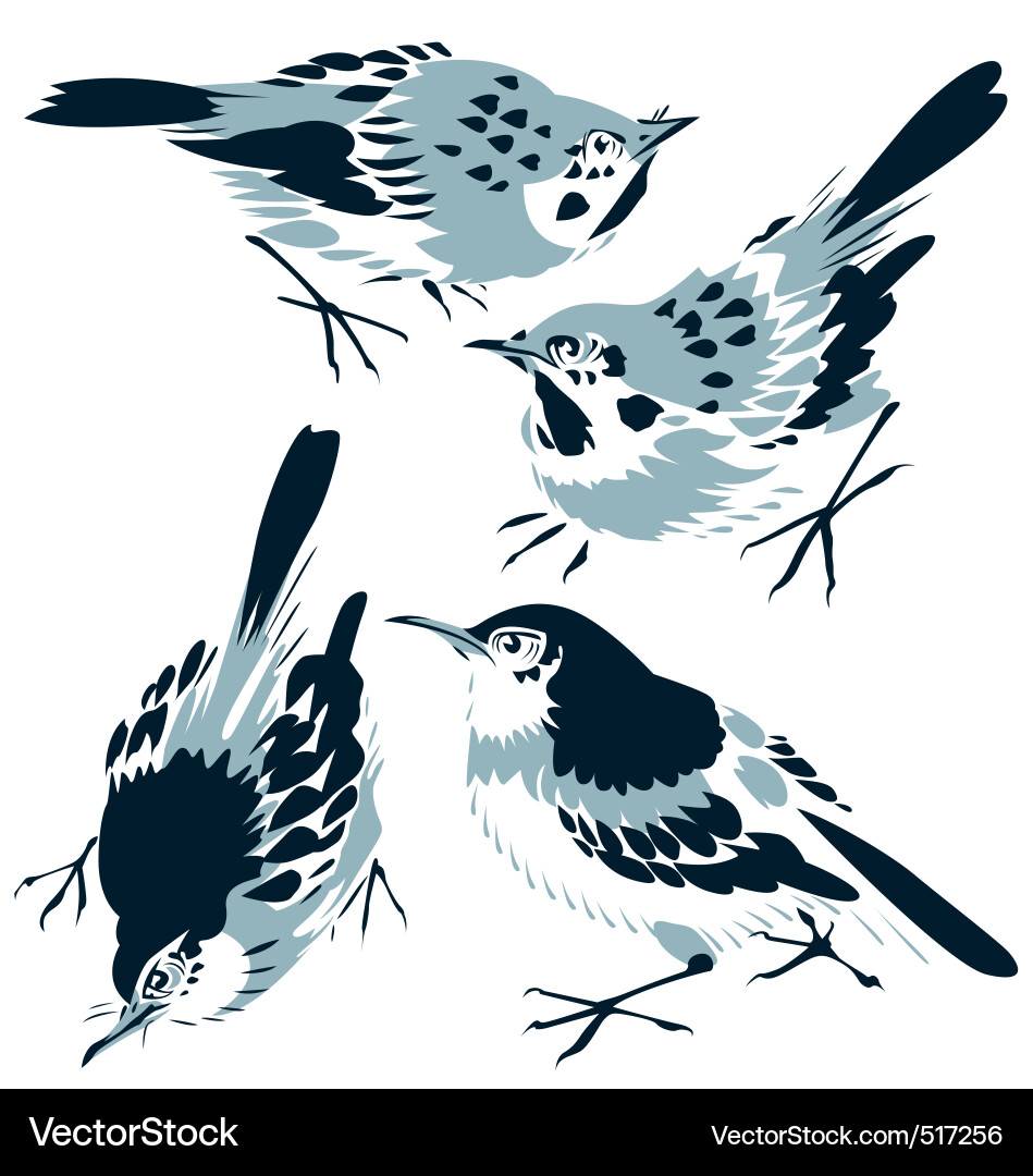 Bird Royalty Free Vector Image - VectorStock