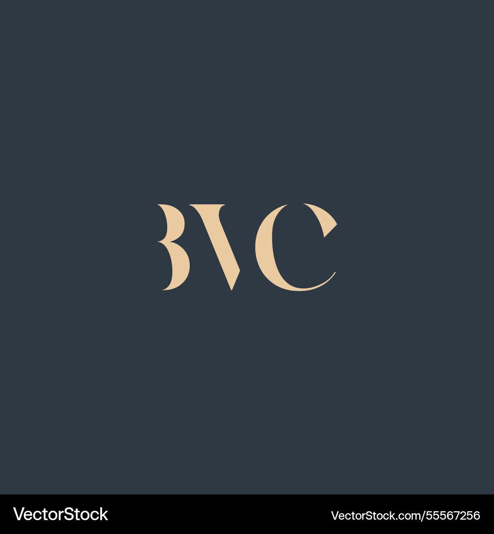 Bvc abstract letter logo Royalty Free Vector Image