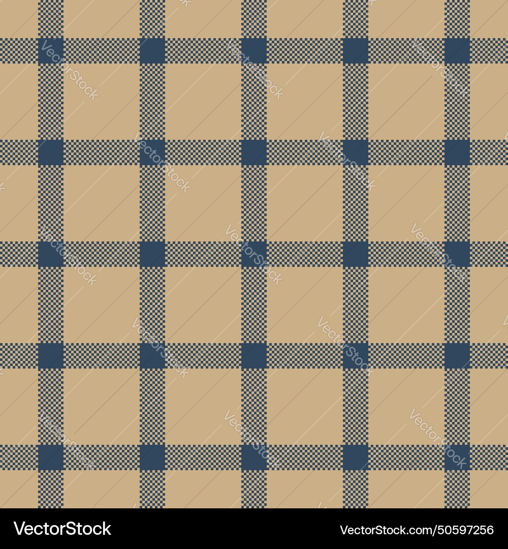 Celebrate pattern seamless check tribal plaid Vector Image