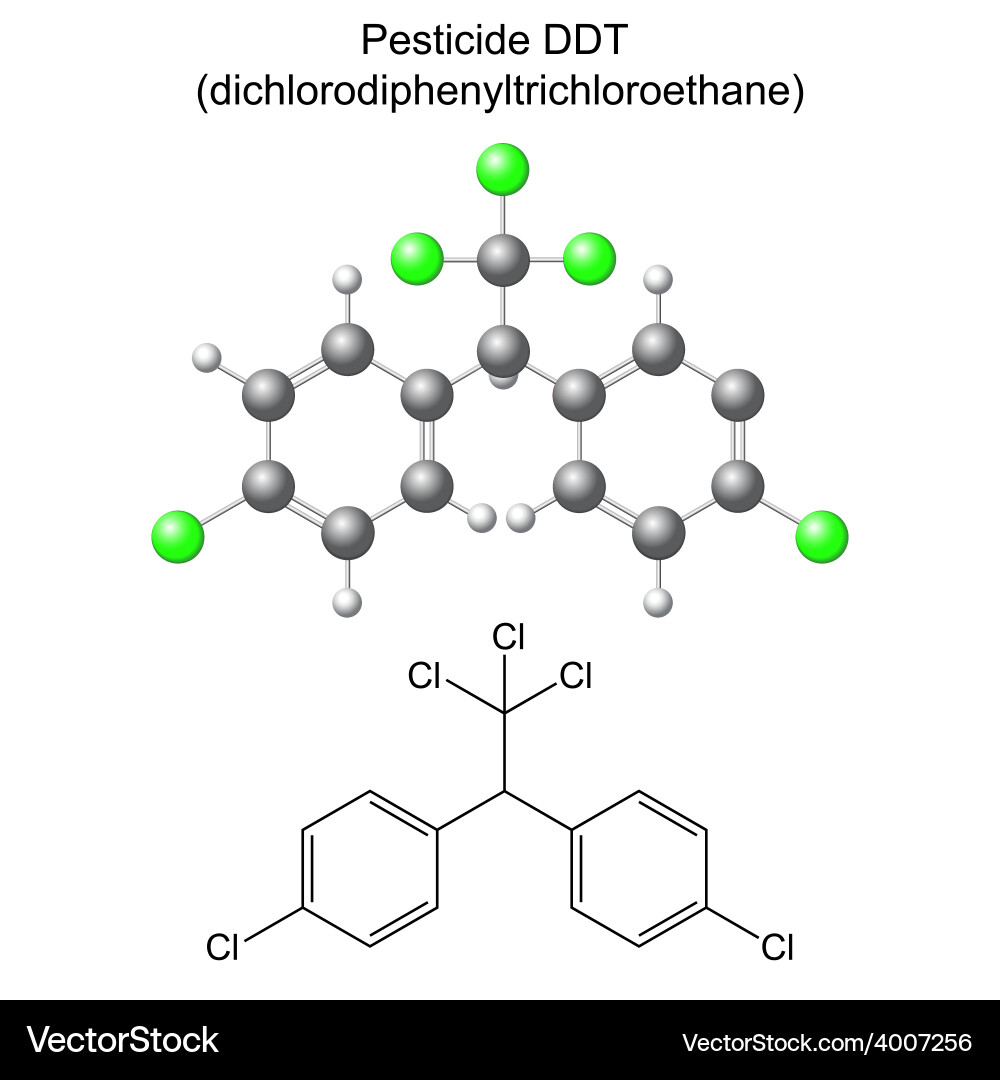 Structural chemical formula and model of ddt Vector Image