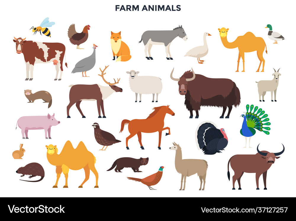 Animals set Royalty Free Vector Image - VectorStock