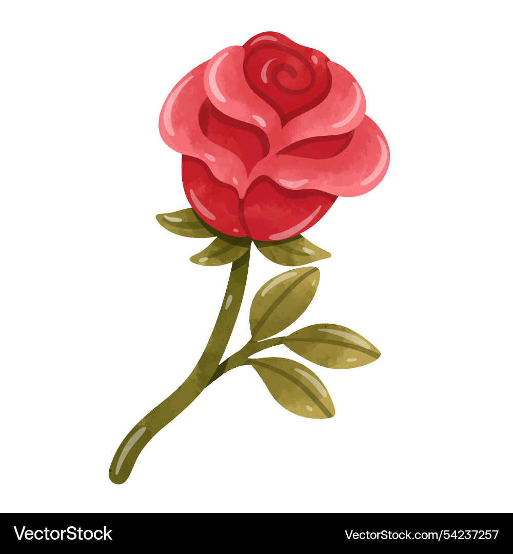 Red rose hand drawn watercolor style Royalty Free Vector