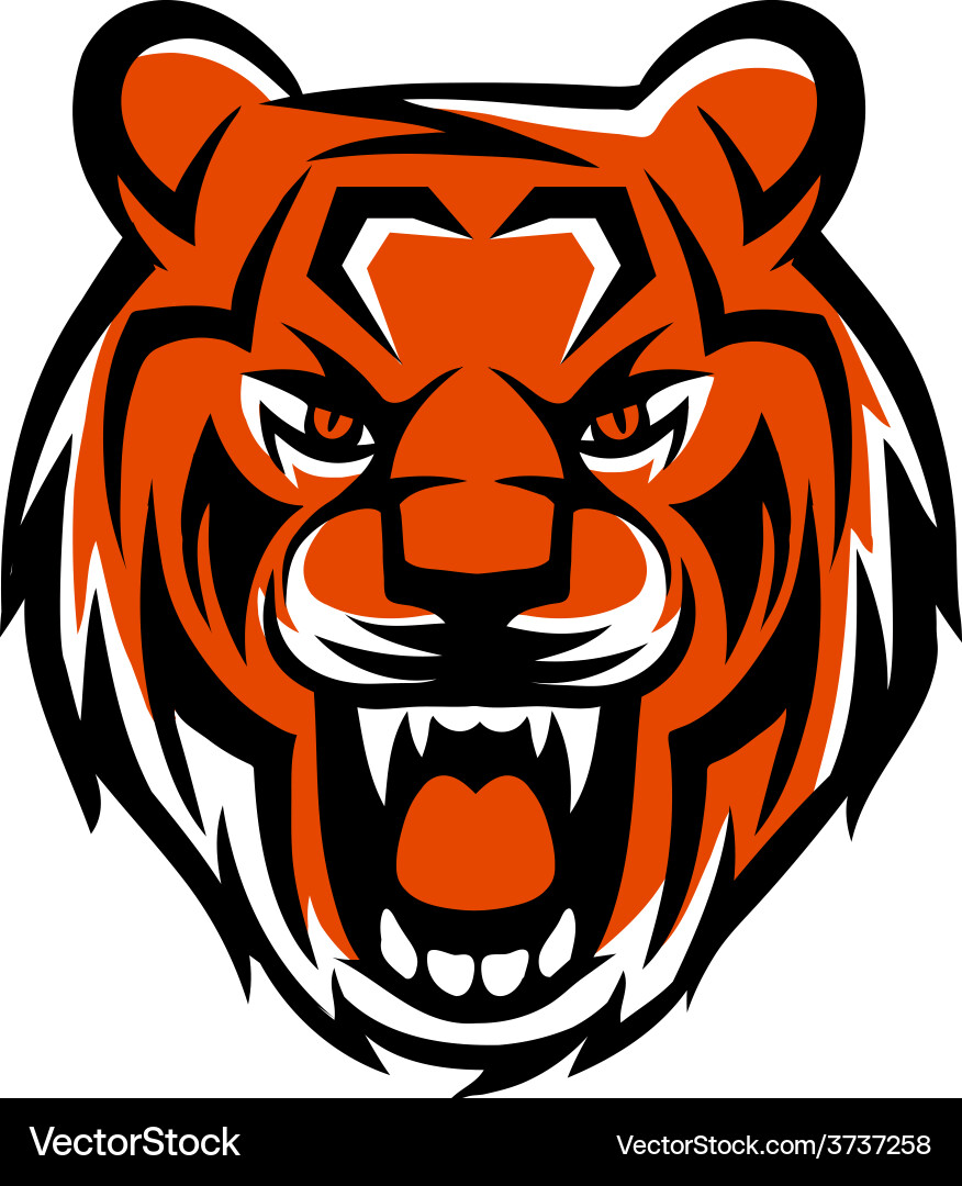 Evil tiger Royalty Free Vector Image - VectorStock