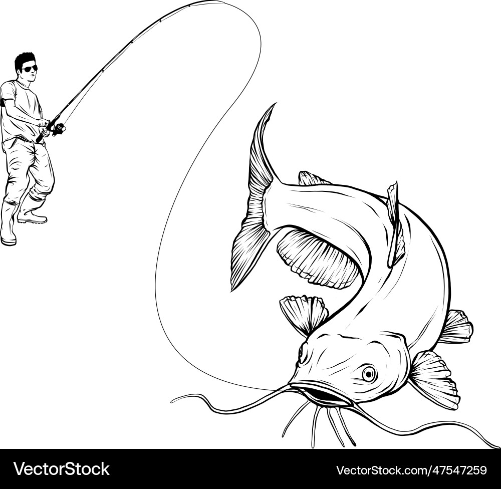 Black and White Catfish Sketch Royalty Free Vector Image