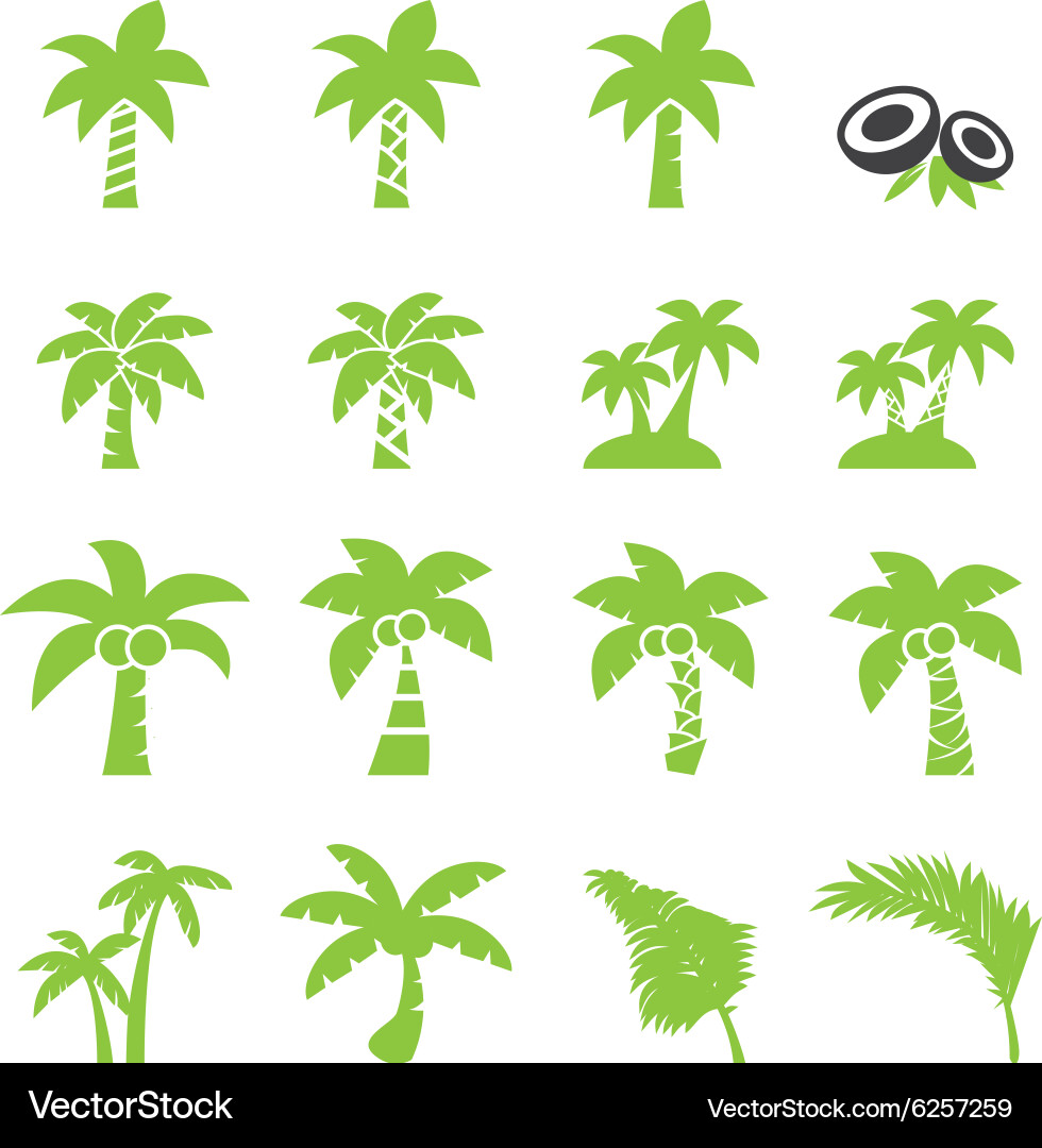 Coconut tree icon Royalty Free Vector Image - VectorStock