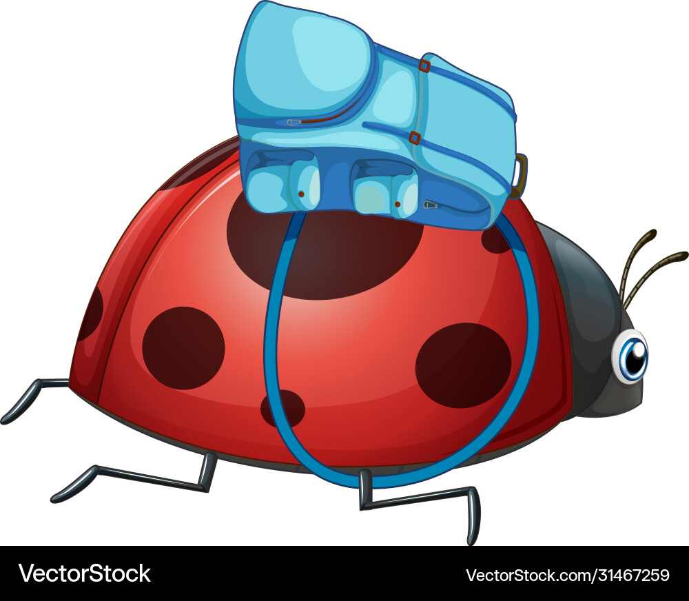 Cute ladybug wearing backpack on white background Vector Image