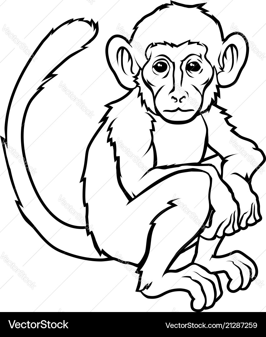 Stylized monkey Royalty Free Vector Image - VectorStock