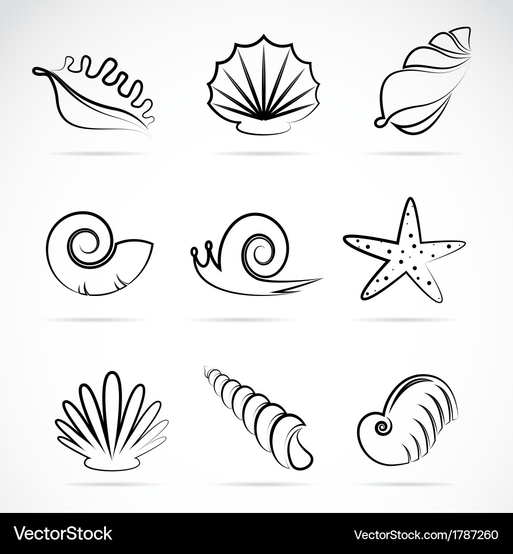 Shellfish Royalty Free Vector Image - VectorStock