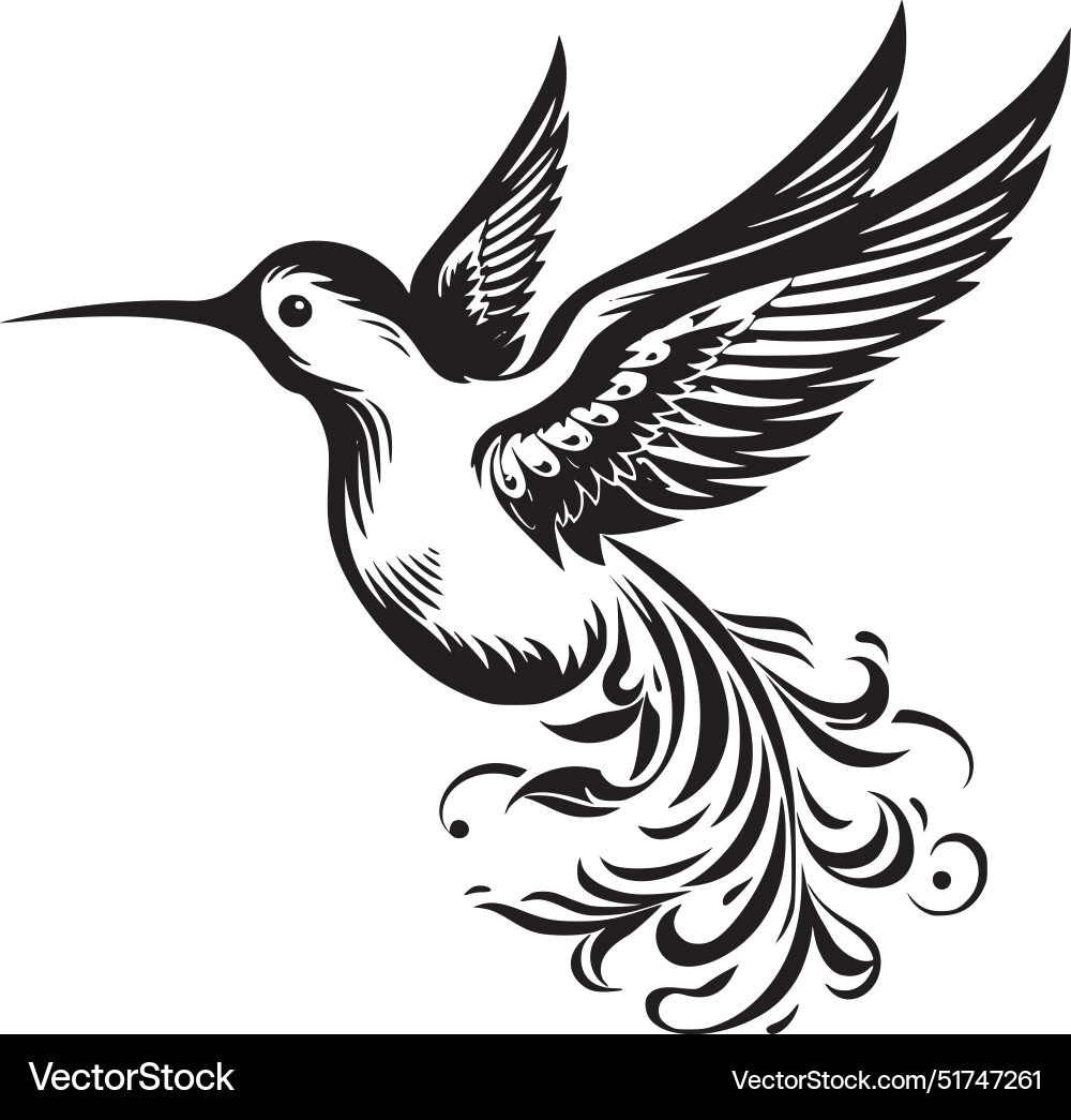 Hummingbird - black and white Royalty Free Vector Image