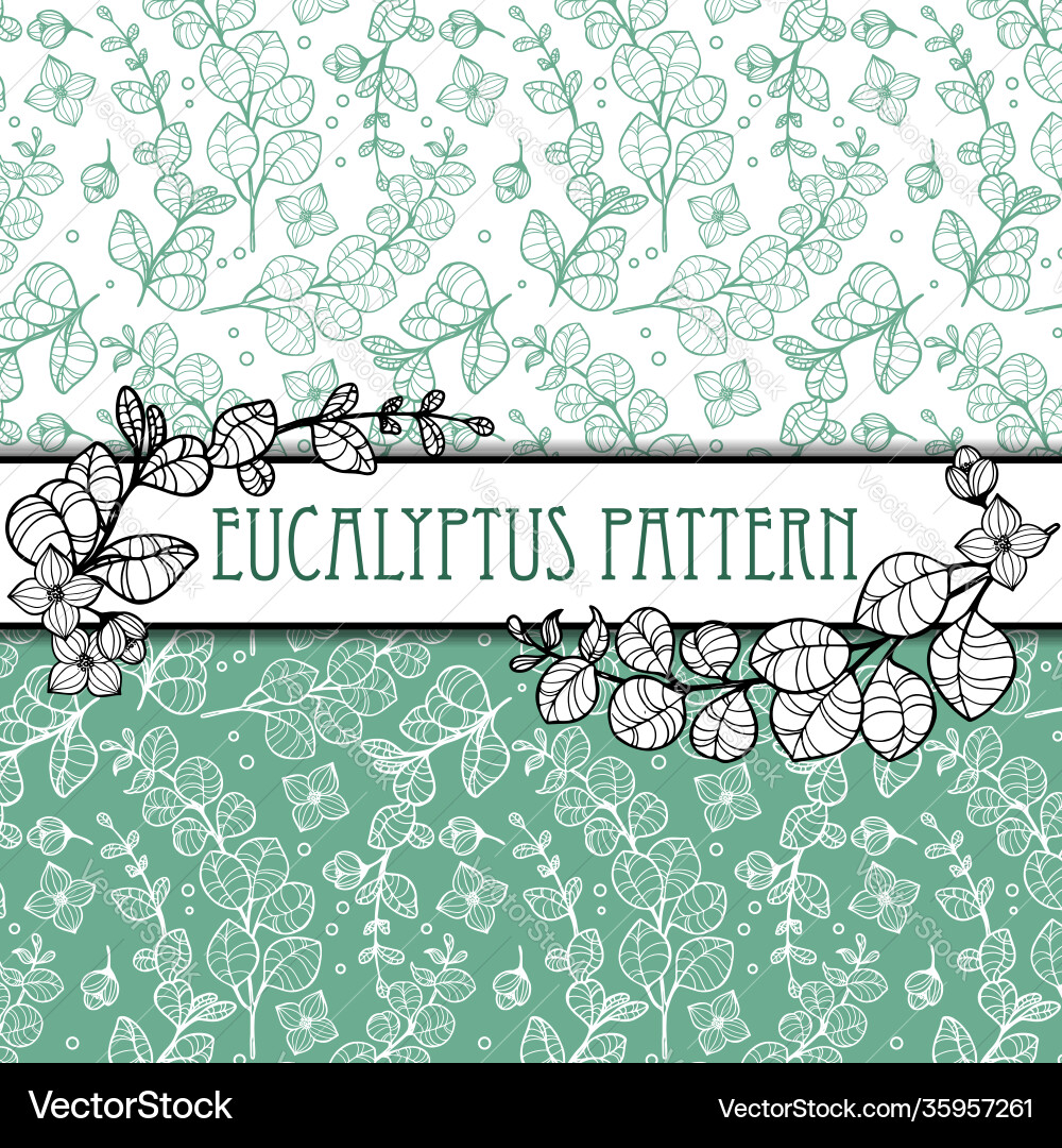 Outline elegant eucalyptus seamless pattern Vector Image