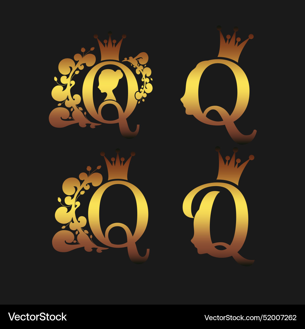 Vintage queen silhouette medieval profile Vector Image