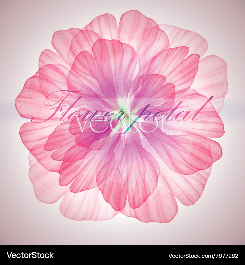 Watercolor Floral Round Pattern Royalty Free Vector Image