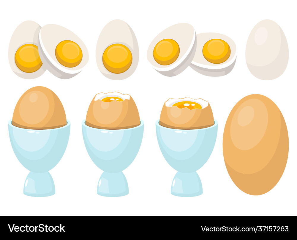Boiled egg in holder design isolated on white Vector Image