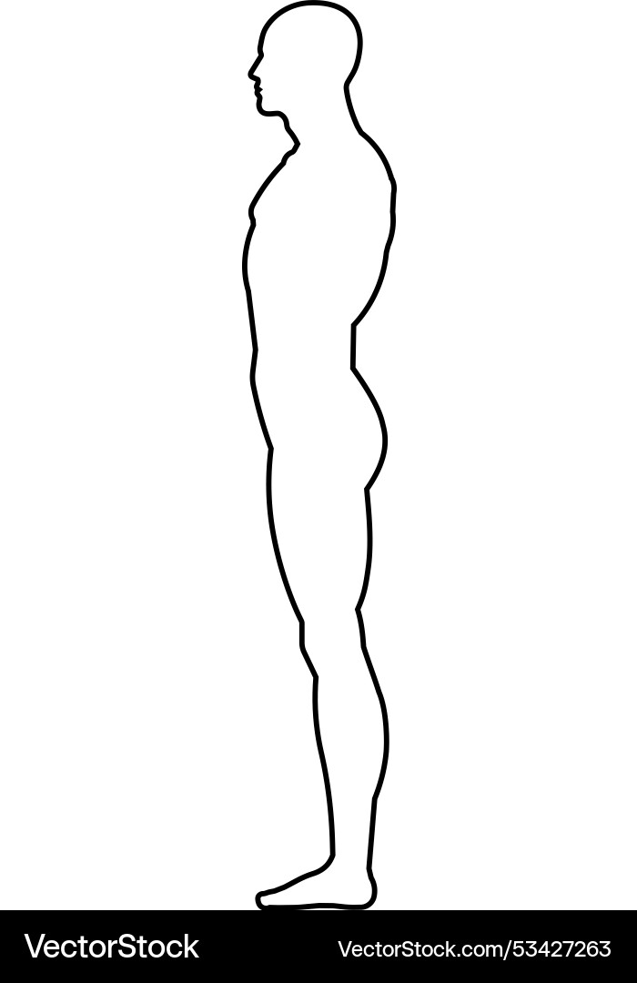 Side view of human body outlined silhouette Vector Image