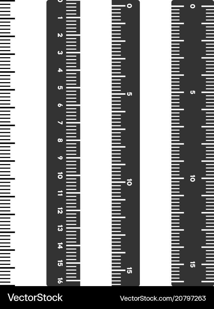 Vertical meter ruler Royalty Free Vector Image