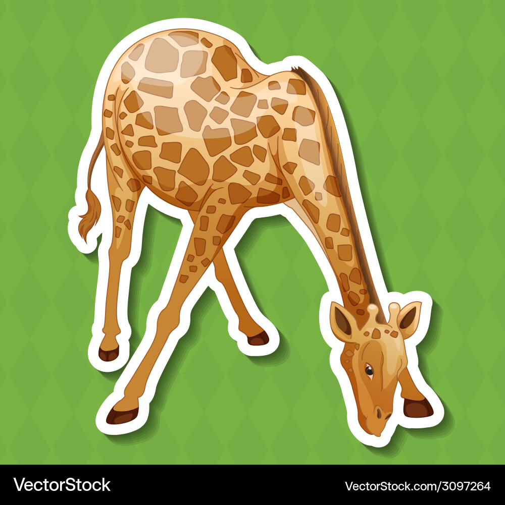 Giraffe Royalty Free Vector Image - VectorStock