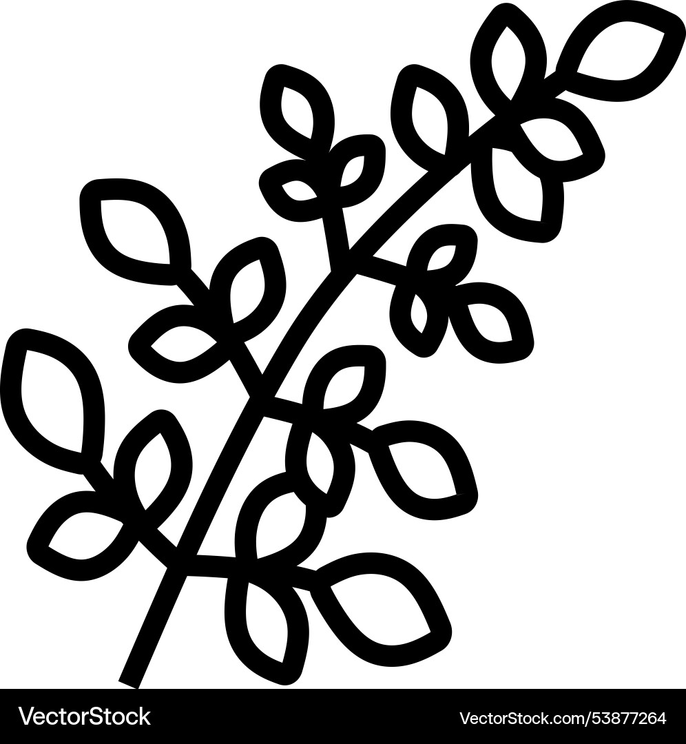 Moringa leaves ayurvedic herb line icon Royalty Free Vector