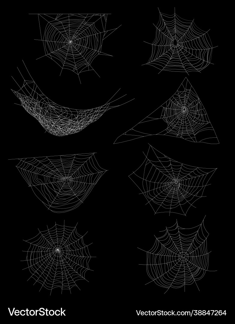 Realistic spider web set Royalty Free Vector Image