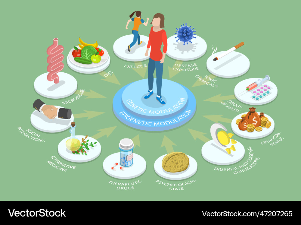 Epigenetics Vector Images (45)