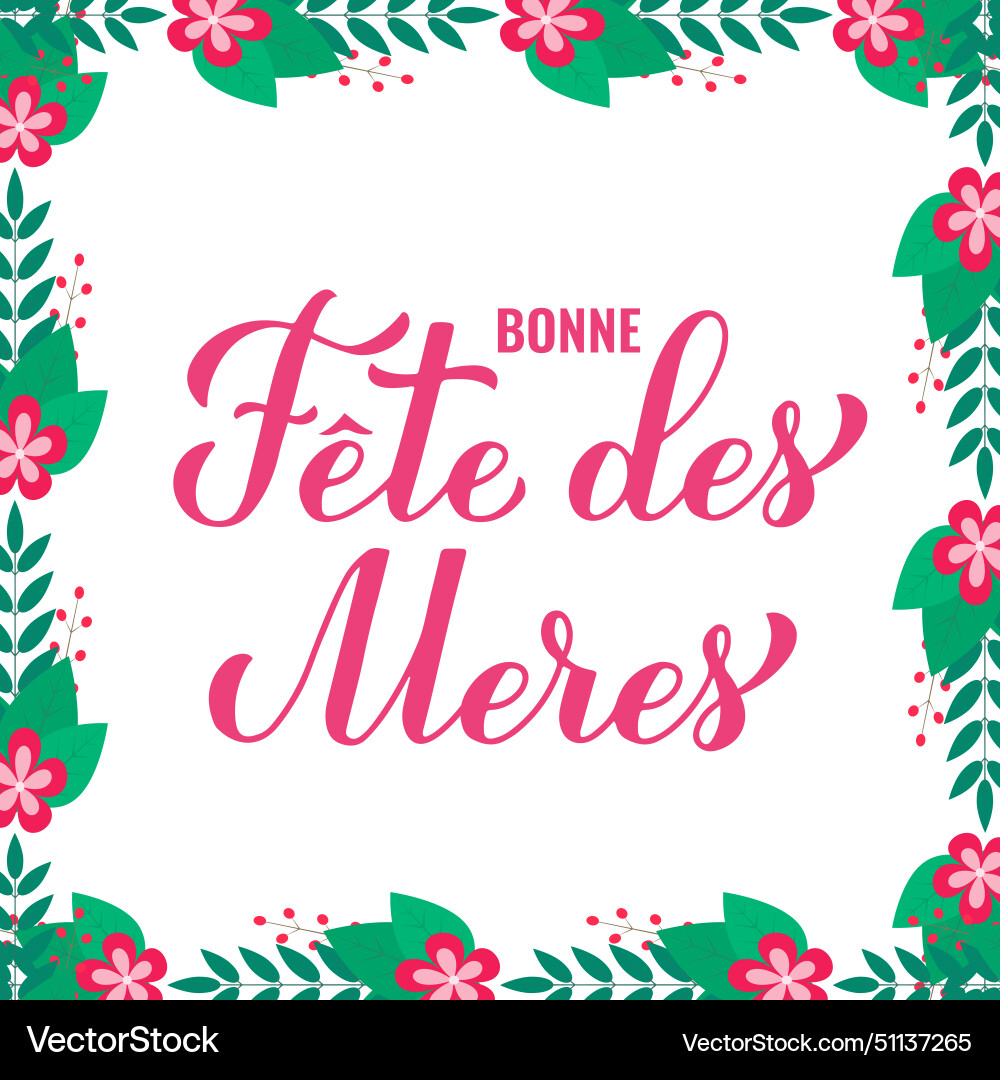 Happy mothers day in french bonne fete des meres Vector Image