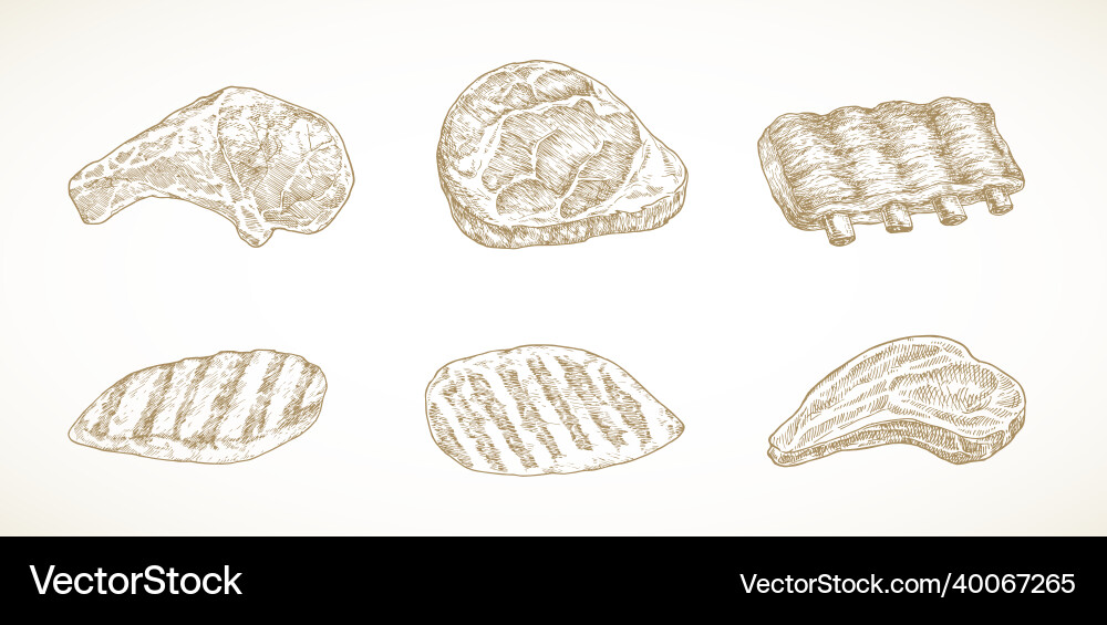 Meat and poultry hand drawn doodle Royalty Free Vector Image