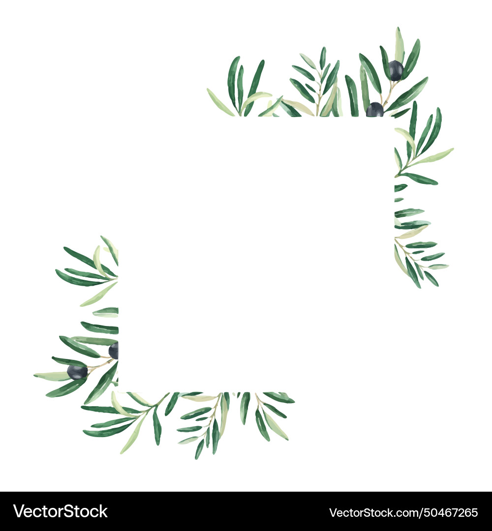 Olive tree square frame black olives and branches Vector Image