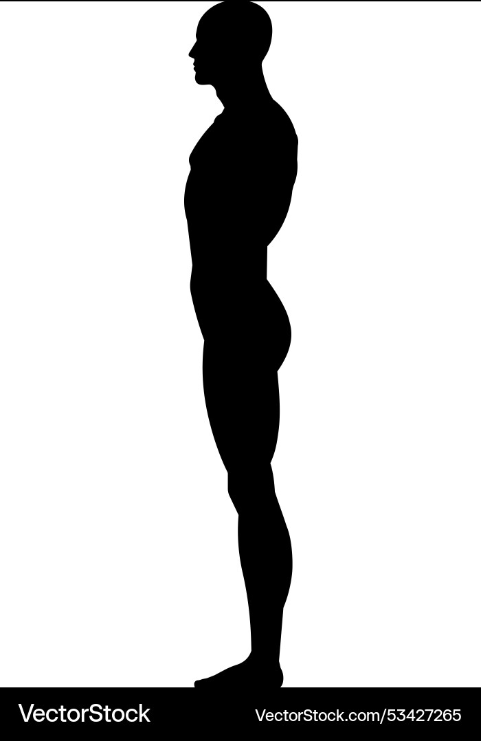Side view of human body silhouette Royalty Free Vector Image