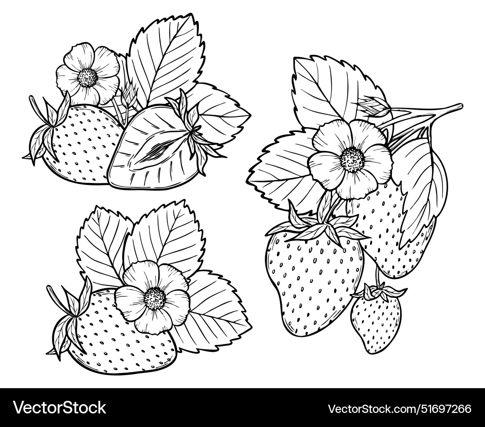Strawberry line art set with berries Royalty Free Vector