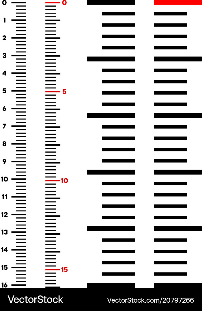 Vertical meter ruler Royalty Free Vector Image