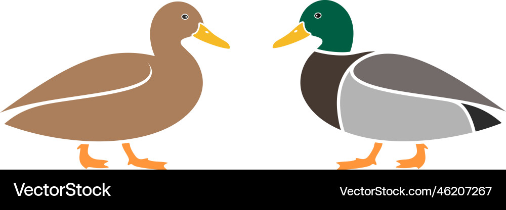 Duck Royalty Free Vector Image - VectorStock