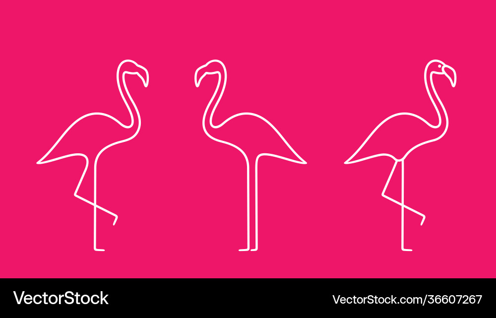 Flamingo Royalty Free Vector Image - VectorStock