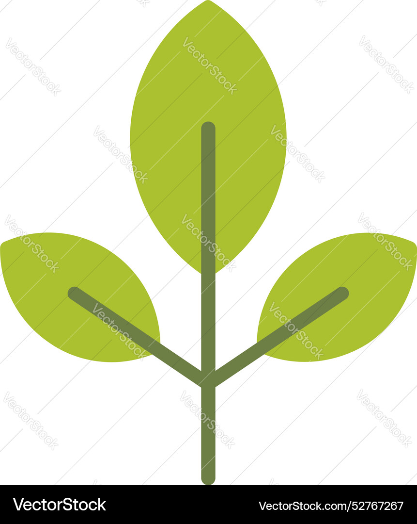 Leaf icon design Royalty Free Vector Image - VectorStock