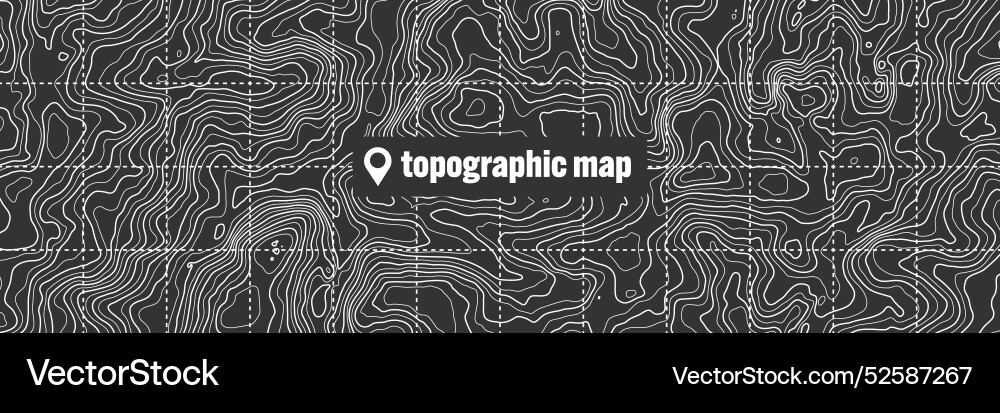 Topographic map with contour lines geographic Vector Image