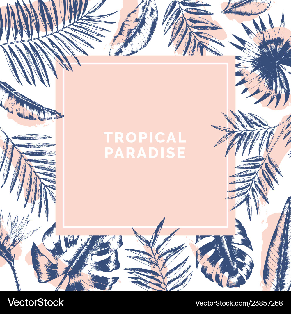 Square exotic background with frame made of palm Vector Image