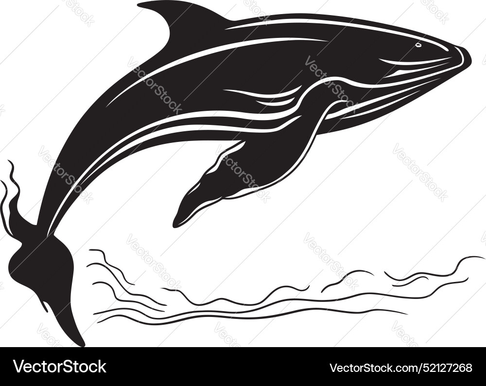 Whalesong symphony iconic whale graphic emblem Vector Image