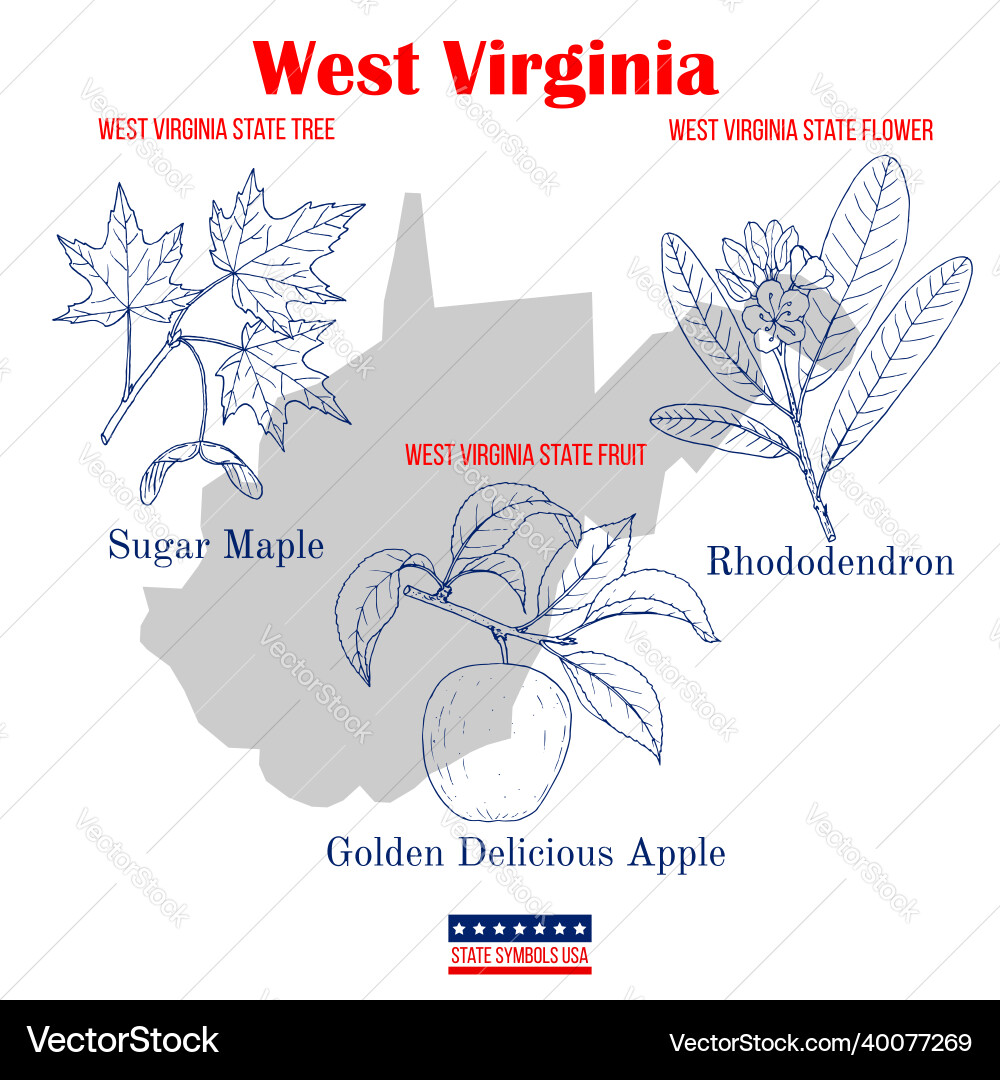 West virginia set of usa official state symbols Vector Image