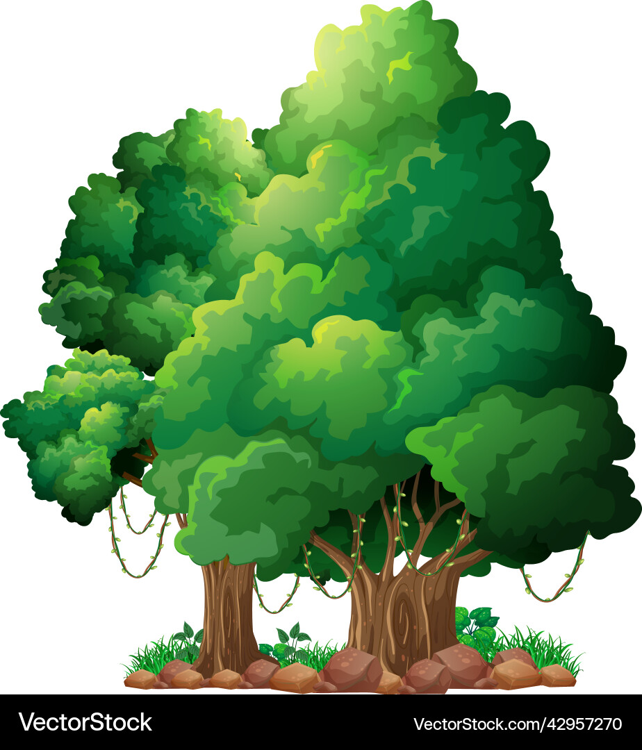 Big tree isolated cartoon Royalty Free Vector Image Big tree isolated cartoon Royalty Free Vector Image