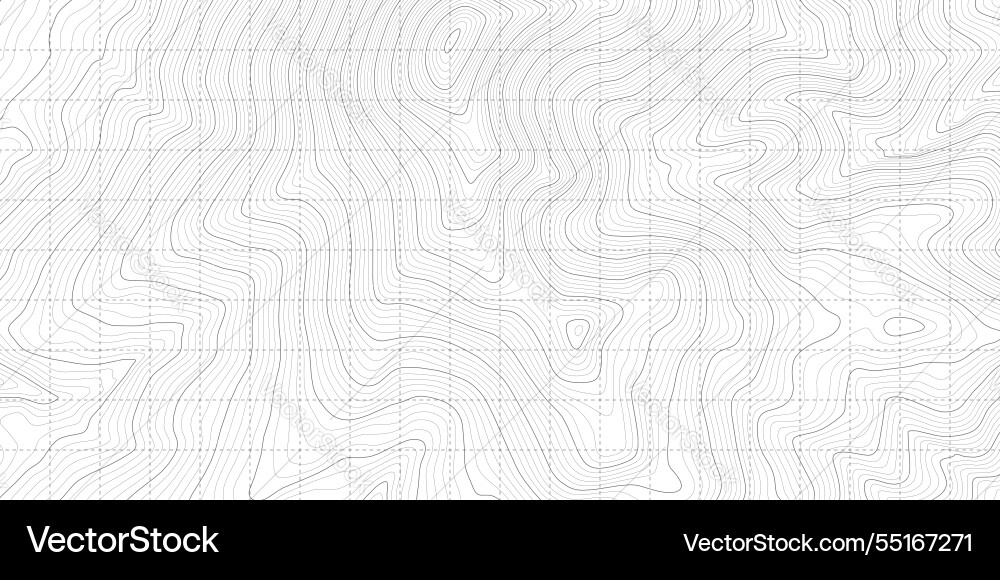 White black military topographic contour map Vector Image