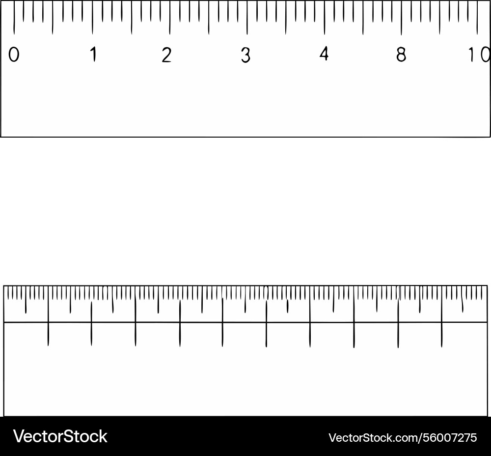 Two simple rulers showing centimeters and inches Vector Image