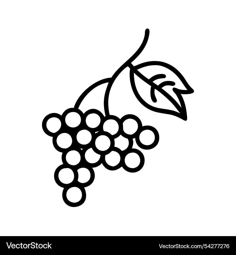 Elderberry icon fruits Royalty Free Vector Image
