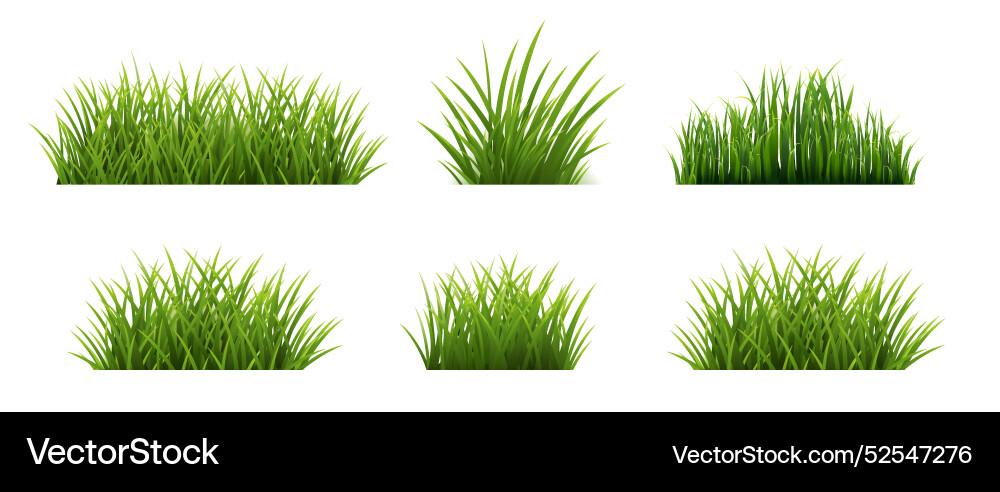 Green grass set isolated background Royalty Free Vector