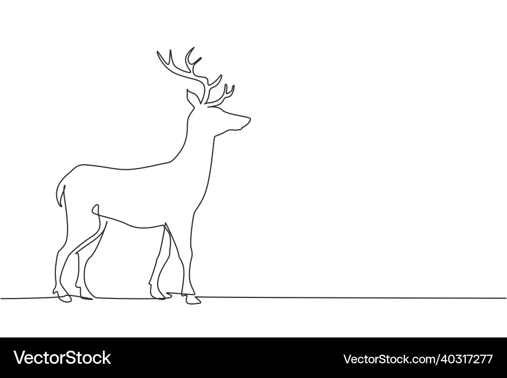 Continuous Line Deer Drawing Royalty Free Vector Image
