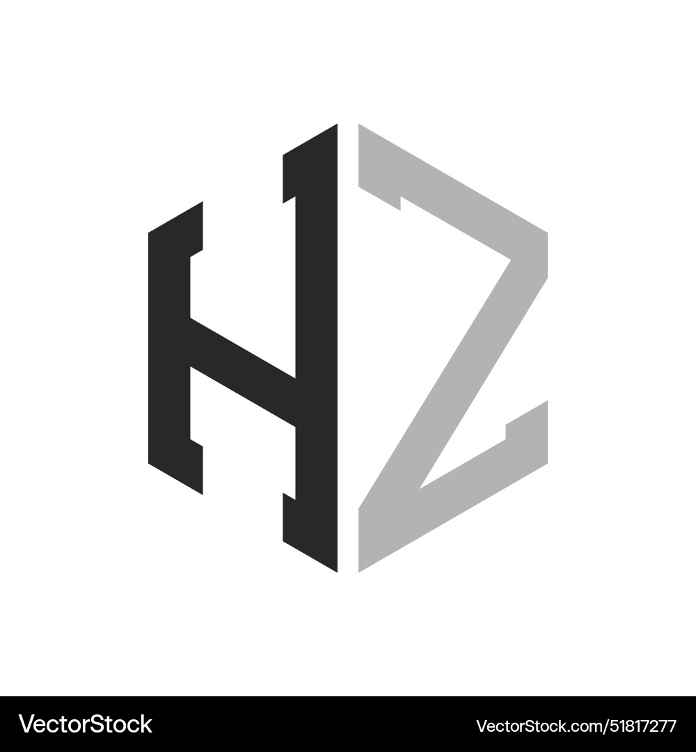 Modern unique hexagon letter hz logo design Vector Image